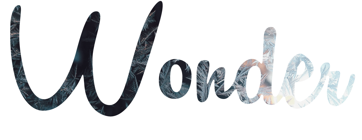 Wonder Havant | A World of Imagination